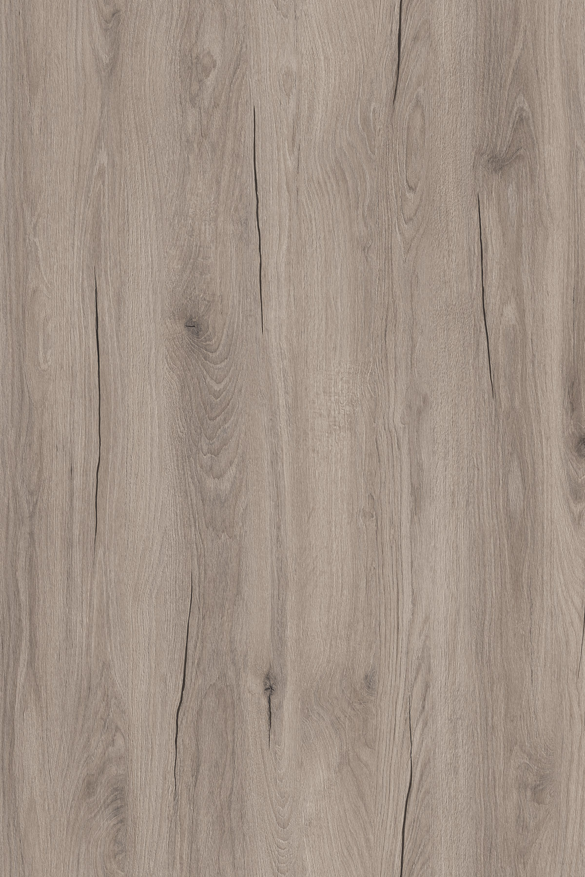 Spanplatte Kronospan | 2800 x 2070 x 19 mm K528 HU Cashmere Hudson Oak ...