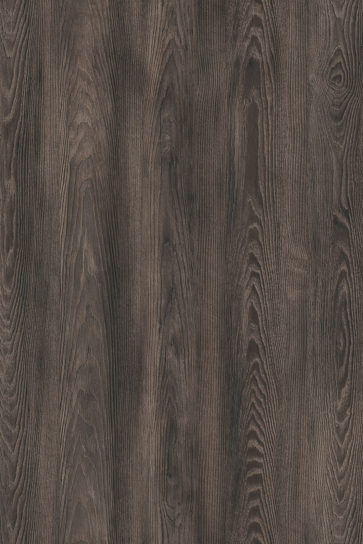 Spanplatte Kronospan | 2800 x 2070 x 19 mm K533 AD Mink Arvadonna ...